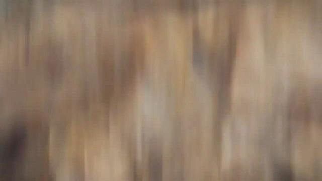 The longest screenpage - Case Studies